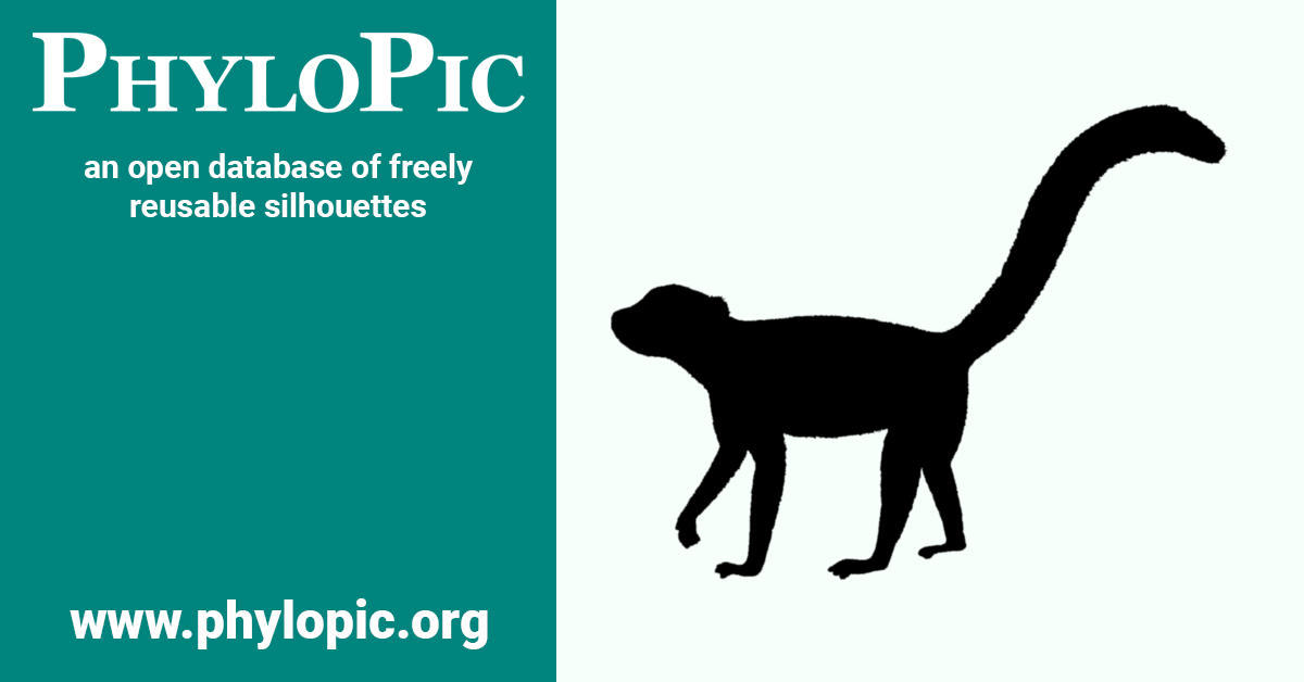 Archaeolemur majori by Smokeybjb (CC BY-SA 3.0) - PhyloPic