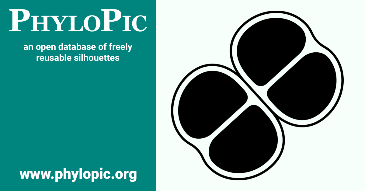 Chroococcus turgidus by Matt Crook (CC BY-SA 3.0) - PhyloPic