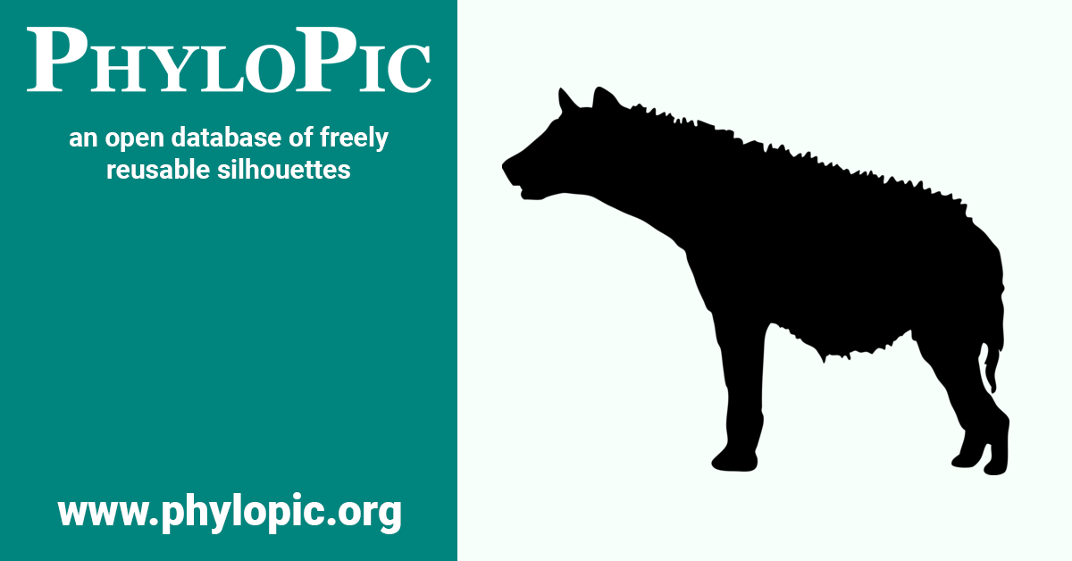 Crocuta crocuta by Oscar Sanisidro (CC0 1.0) - PhyloPic