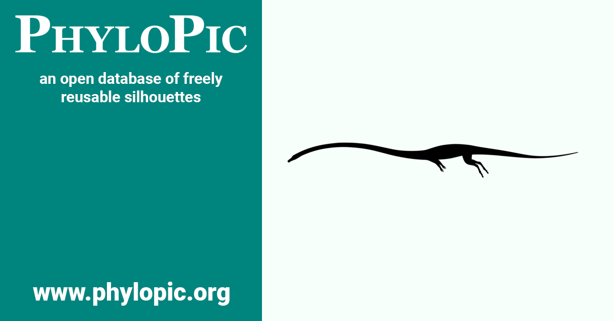 Tanystropheus conspicuus by Cy Marchant (CC BY 4.0) - PhyloPic