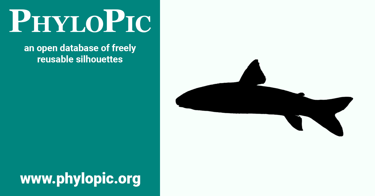 Parodon magdalenensis by Grupo de Ictiología de la Universidad de ...