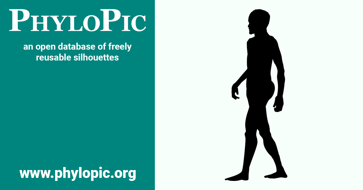 Homo sapiens sapiens by T. Michael Keesey (CC0 1.0) - PhyloPic
