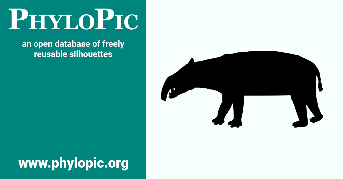 Astrapotherium magnum by Zimices (CC BY-NC 3.0) - PhyloPic