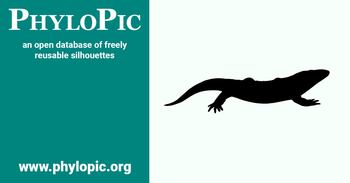 Chroniosuchus paradoxus by Dmitry Bogdanov (CC BY 4.0) - PhyloPic