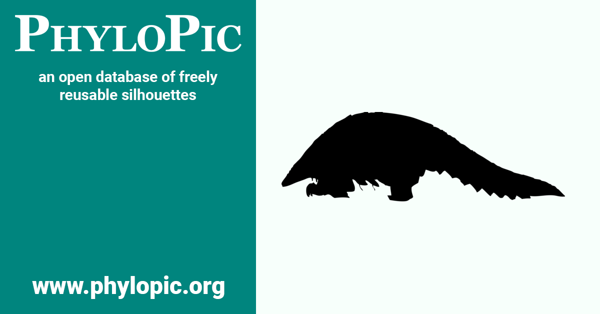 Manis - PhyloPic