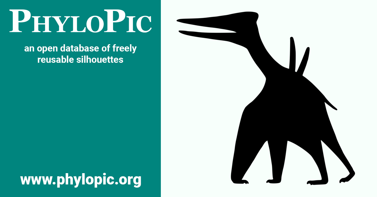 Jidapterus edentus by jack liddle (CC BY 4.0) - PhyloPic