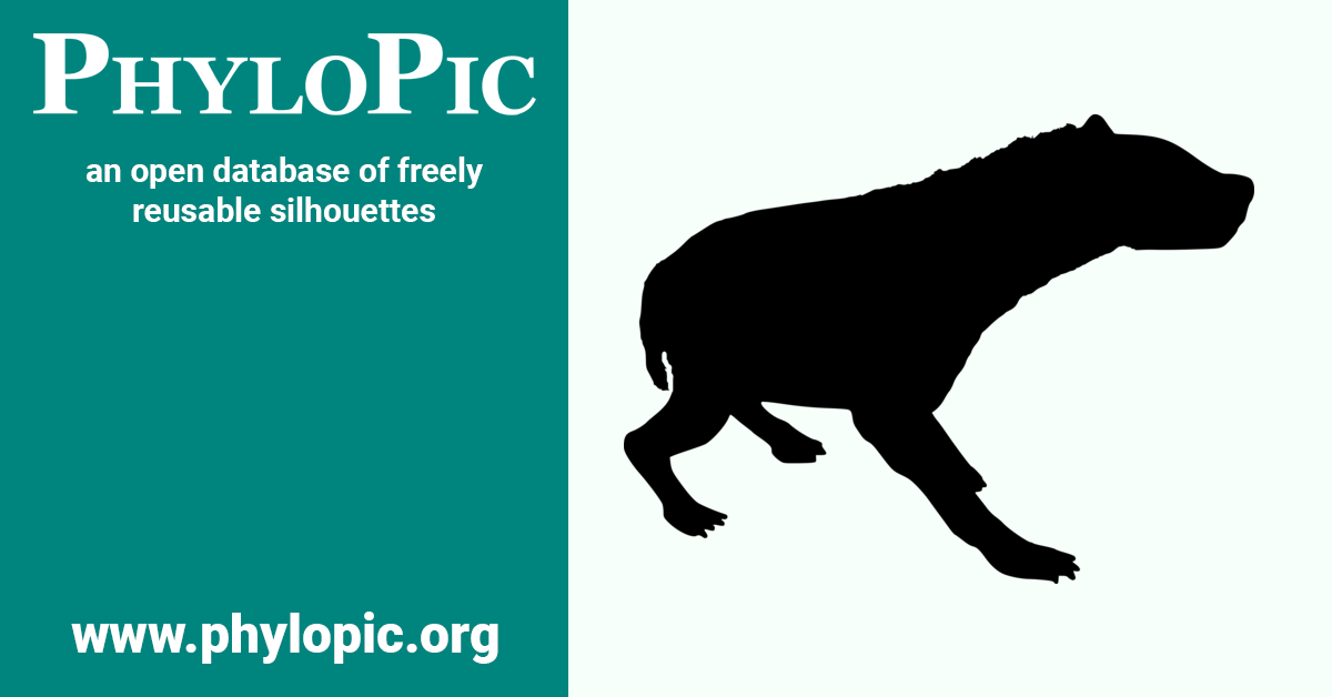 Adcrocuta eximia by Zimices (CC BY-SA 3.0) - PhyloPic