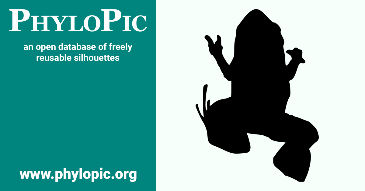 Sooglossus sechellensis by Seychelles Islands Foundation (vectorized by ...