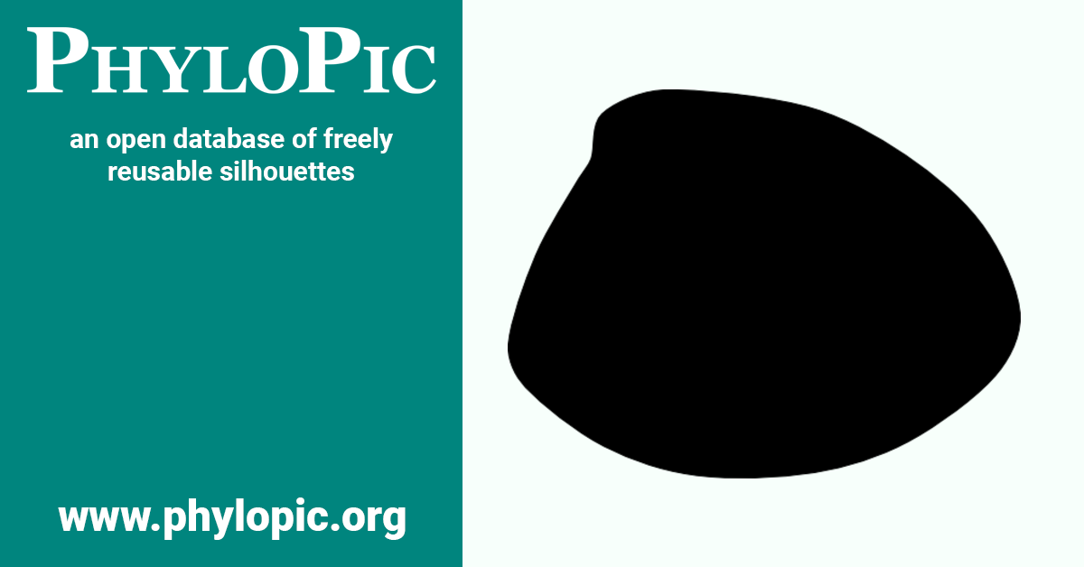 Nucula (Lamellinucula) dorsocrenata by Katie S. Collins (CC BY 3.0) - PhyloPic