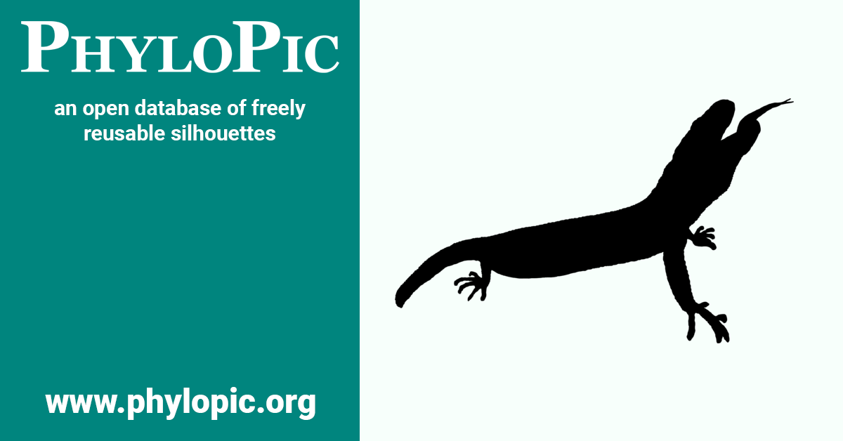 Heloderma suspectum cinctum by CNZdenek (CC BY-NC 3.0) - PhyloPic