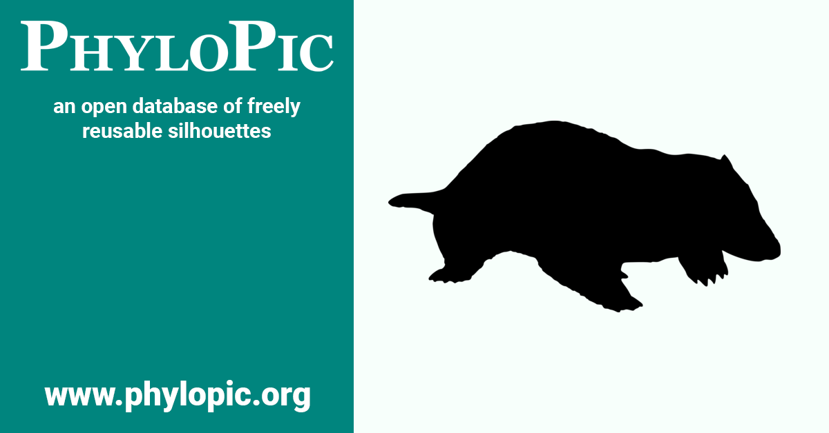 Kollikodon ritchiei by Nix Illustration (CC BY-NC 3.0) - PhyloPic