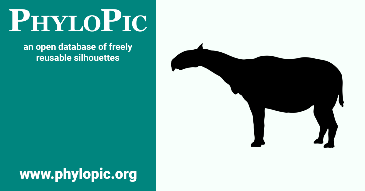 Paraceratherium transouralicum by H. F. O. March (modified by T ...