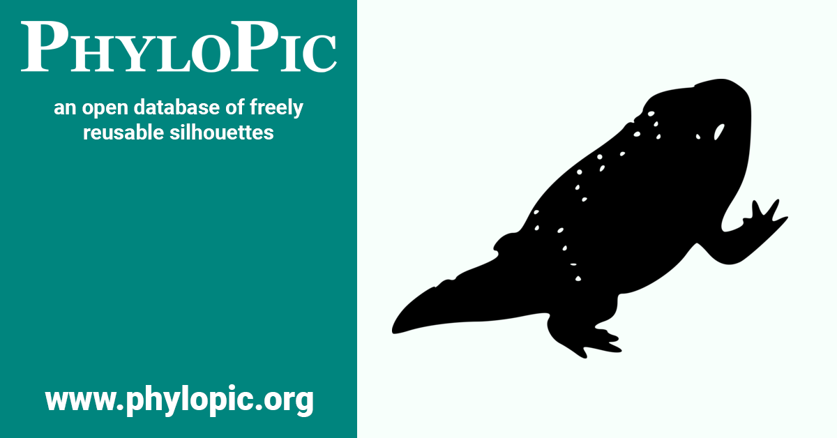 Gerobatrachus by Nix Illustration (Diego Alexander Canque Sosa) (CC BY ...